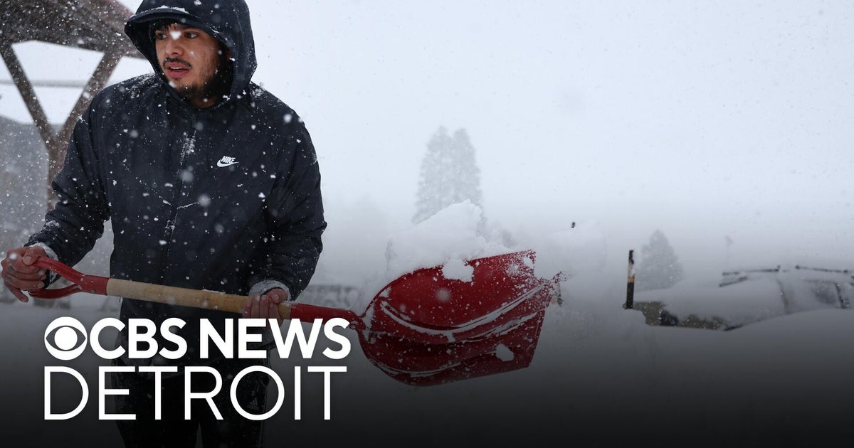 Failing to clear snow from driveways may lead to liability - CBS Detroit