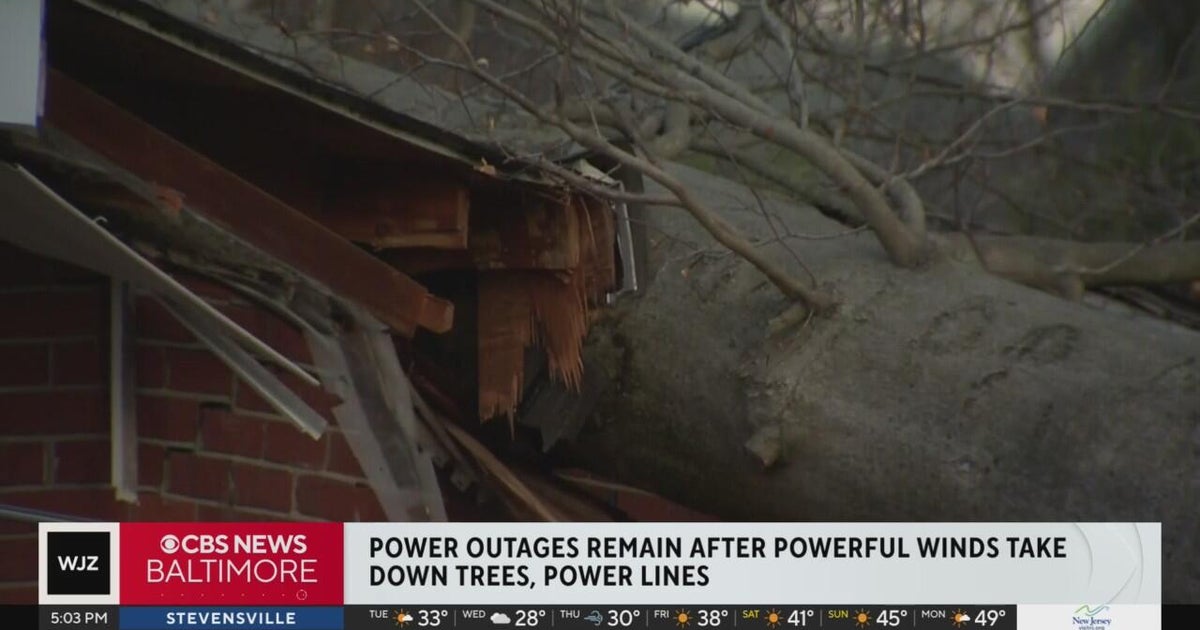 Maryland power outages remain after strong winds take down trees ...