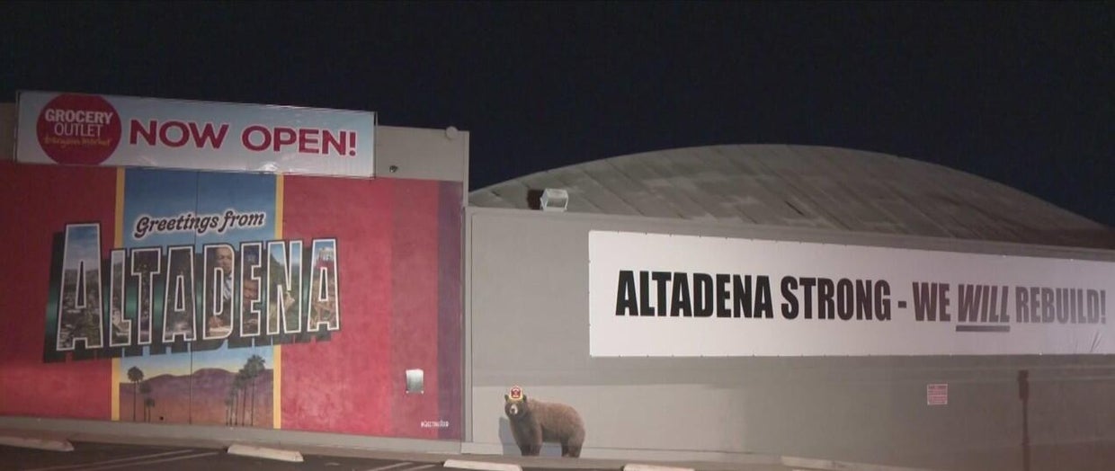 Altadena Grocery Outlet reopens as beacon of hope following Eaton Fire ...