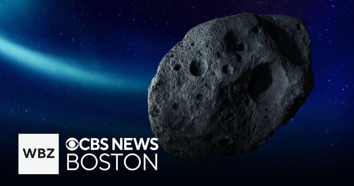MIT professor speaks about the asteroid that has a 3.1% chance of ...