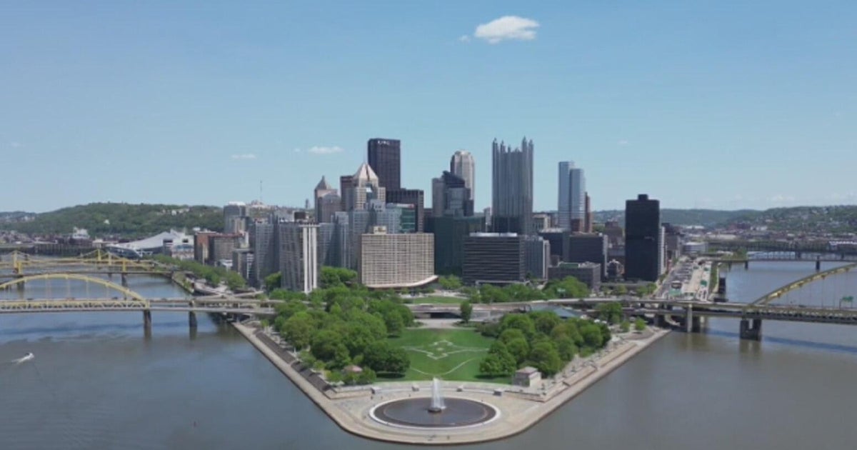 Some Pittsburgh councilmembers eye cutting controversial $6 million ...