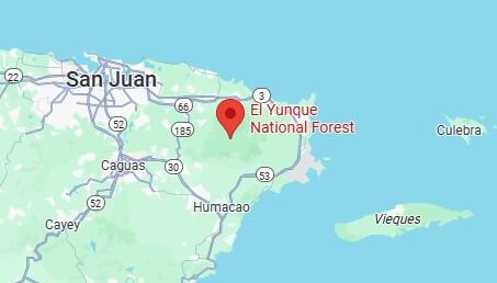 Wisconsin man missing in thick Puerto Rico rain forest - CBS News