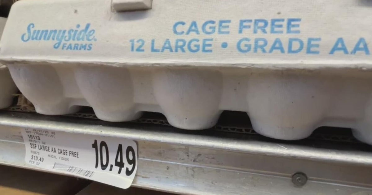 Egg shortage caused by bird flu impacting Petaluma poultry farmers ...