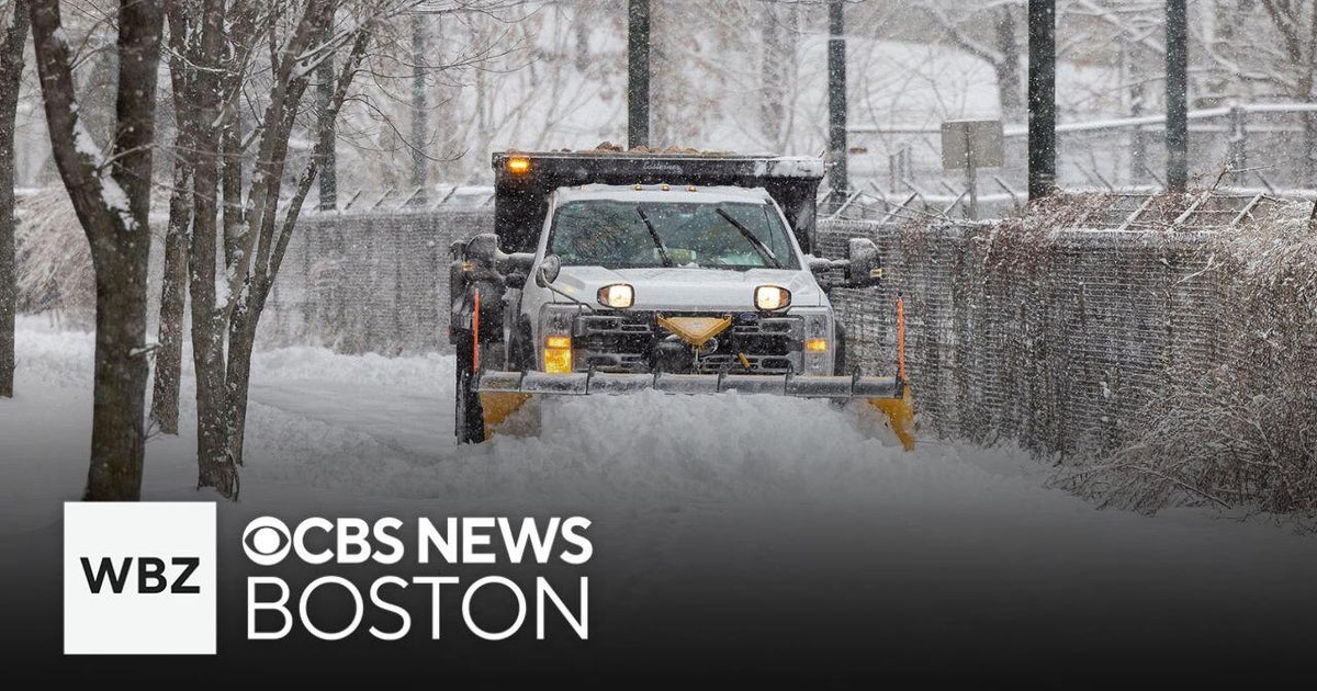 How accurate was the WBZ winter weather forecast? - CBS Boston