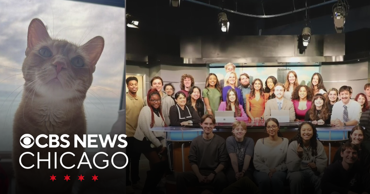 Cat angel, Mary Kay visits UCF | What Caught My Eye - CBS Chicago