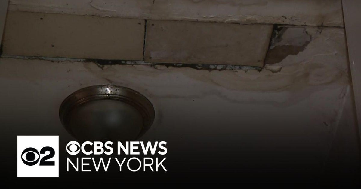 Tenants in Red Hook apartment building demand landlord make repairs ...