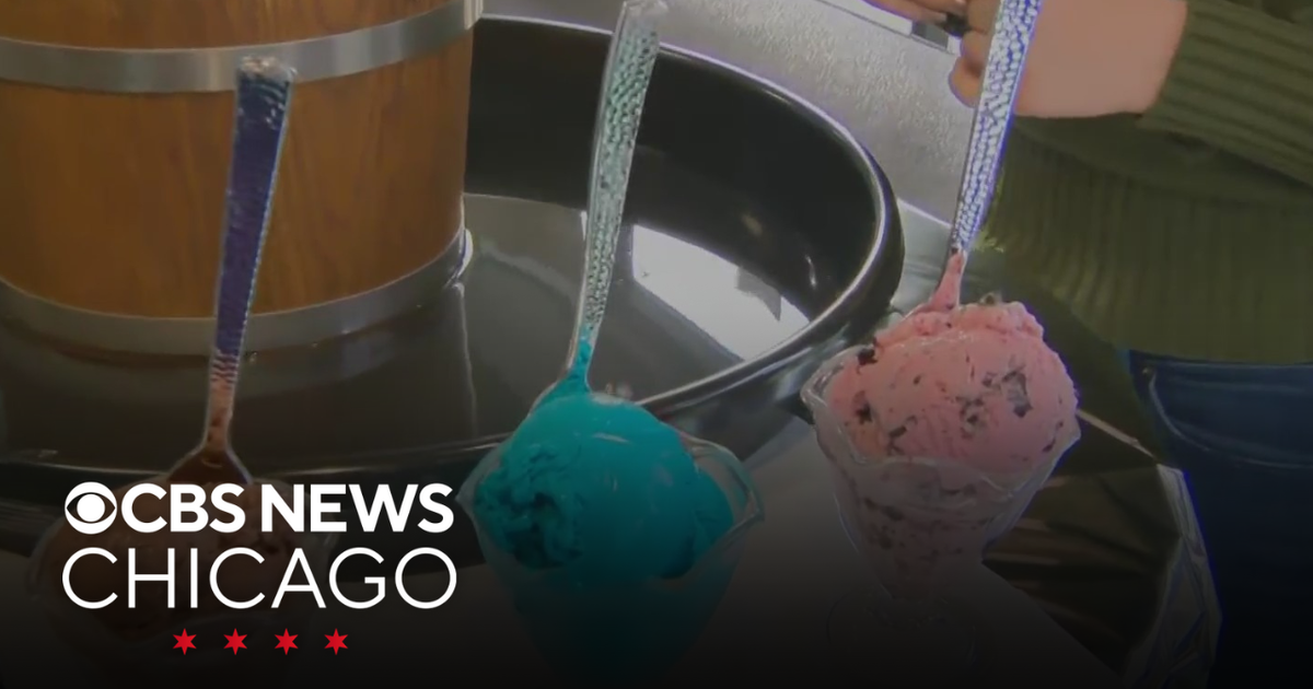 Shawn Michelle’s homemade ice cream - CBS Chicago