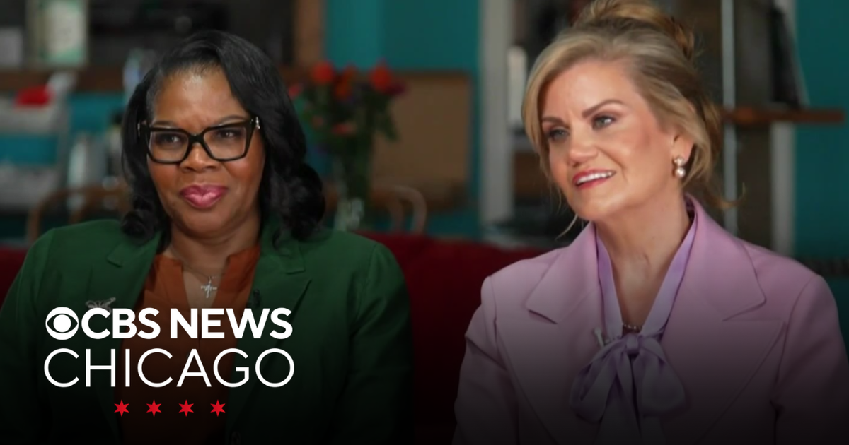 Illinois first lady, woman who spent over 20 years in prison form ...