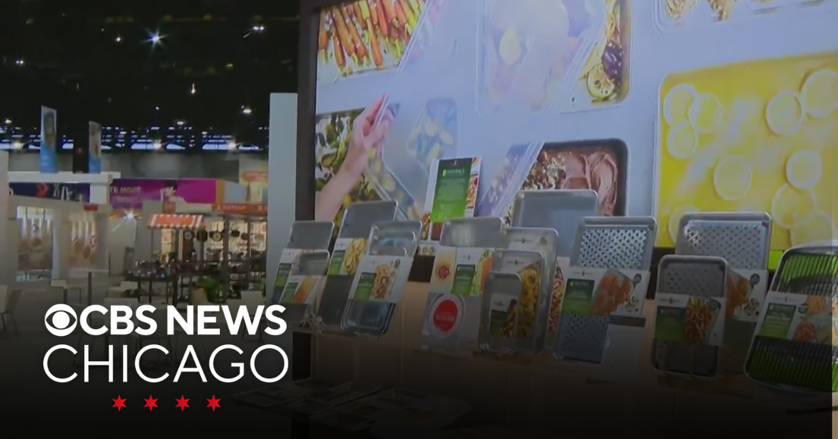 A look inside the Inspired Home Show - CBS Chicago