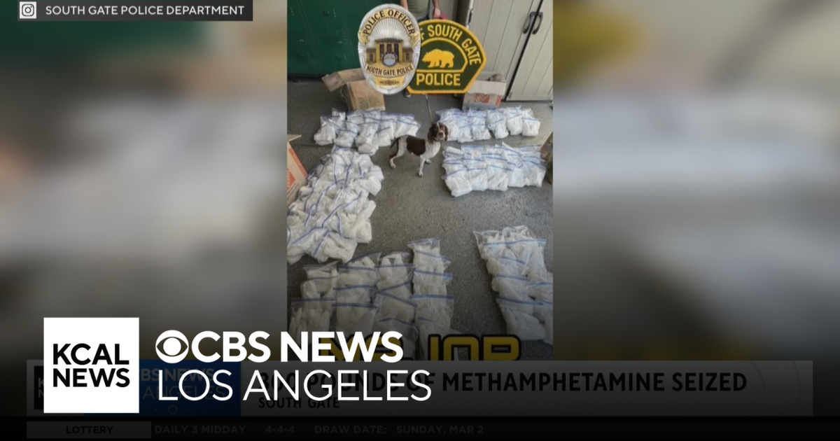 300 pounds of meth seized by police in South Gate - CBS Los Angeles