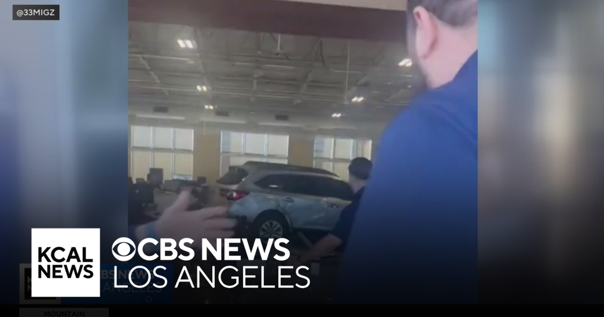 Witness to wild rampage at Inglewood CarMax recalls terrifying incident ...