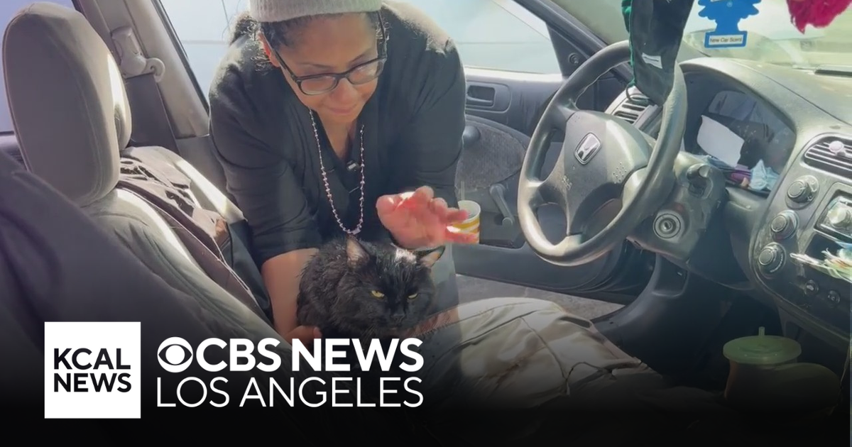 Pregnant mother continues search for housing after Eaton Fire - CBS Los ...