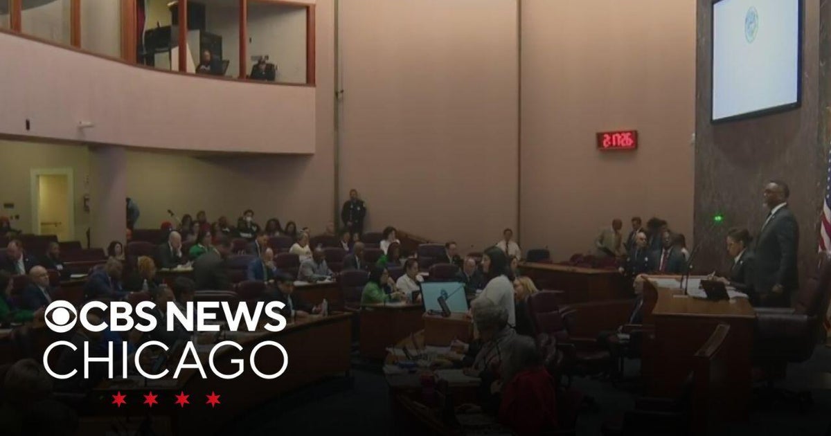 Chicago City Council votes down ban on sale of new furs - CBS Chicago