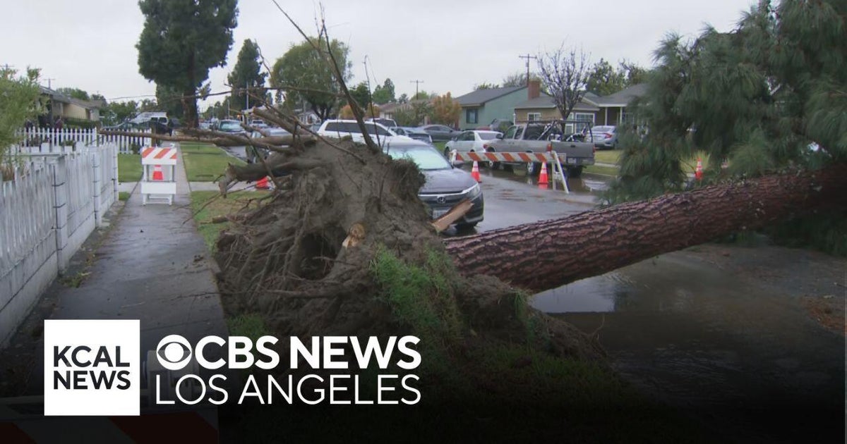 EF0 tornado touches down in Pico Rivera neighborhood - CBS Los Angeles