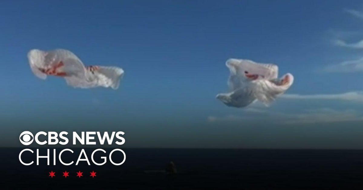 NASA astronauts return home after unexpectedly long journey - CBS Chicago