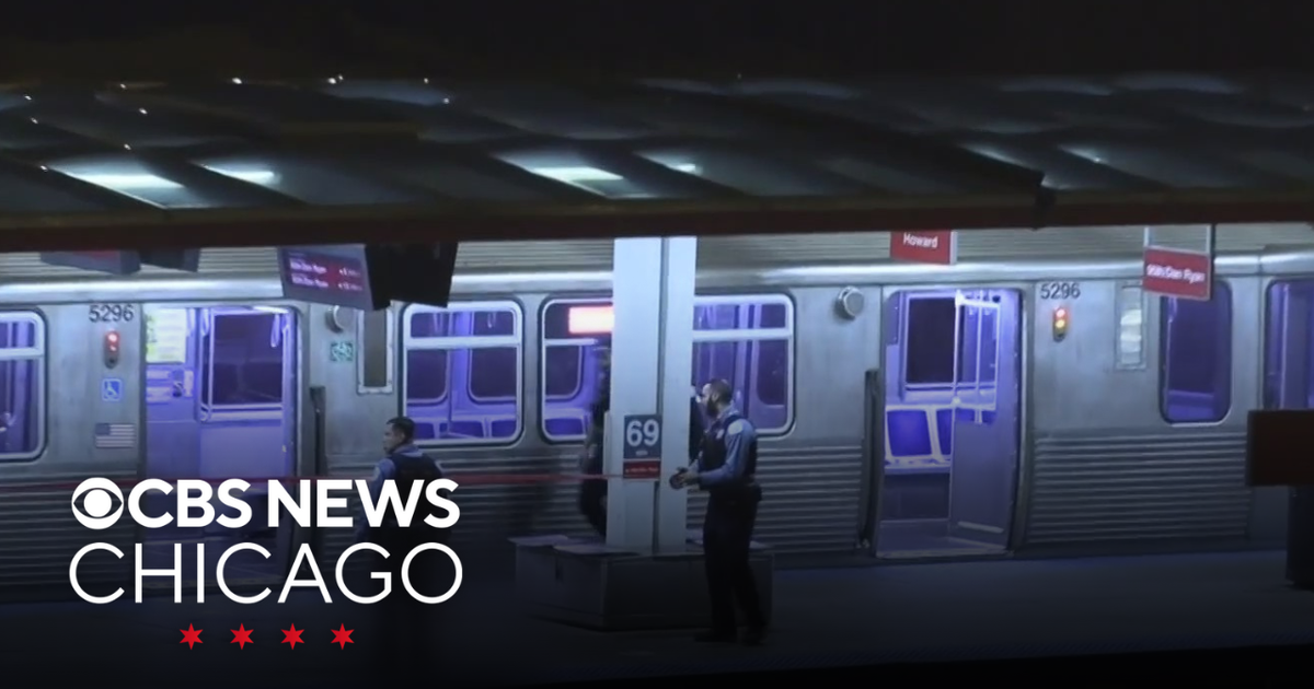 Woman shot, killed during argument on CTA Red Line platform on Chicago ...