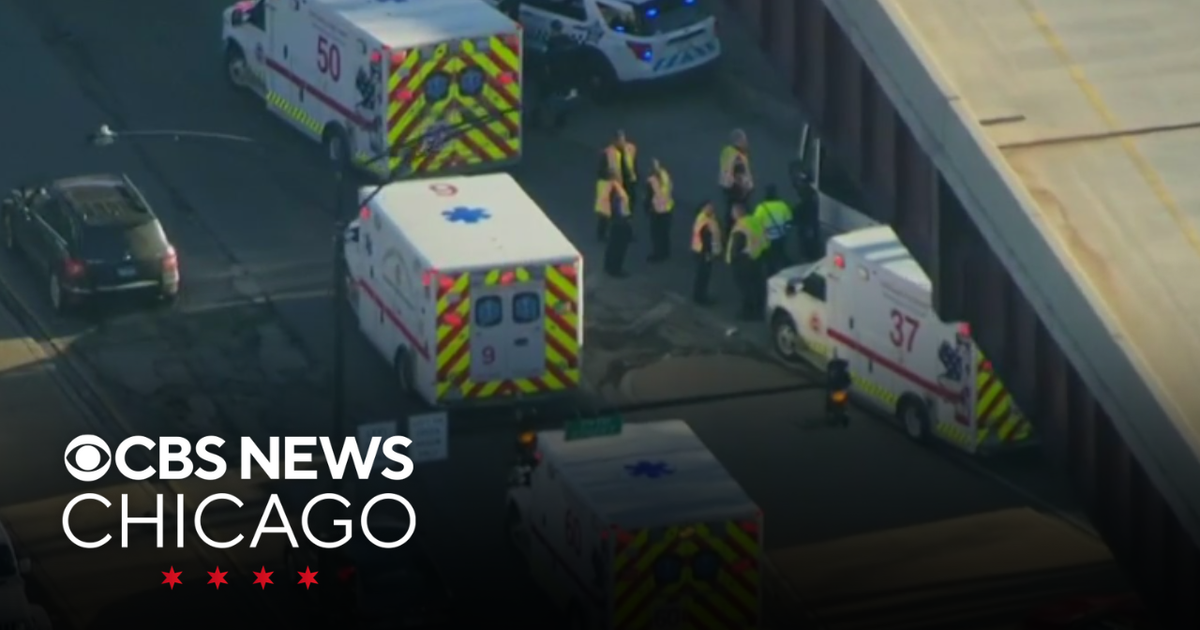 CTA bus, Pace bus collide on Chicago's South Side - CBS Chicago