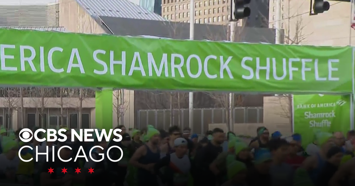 Final preparations underway for 45th Shamrock Shuffle - CBS Chicago