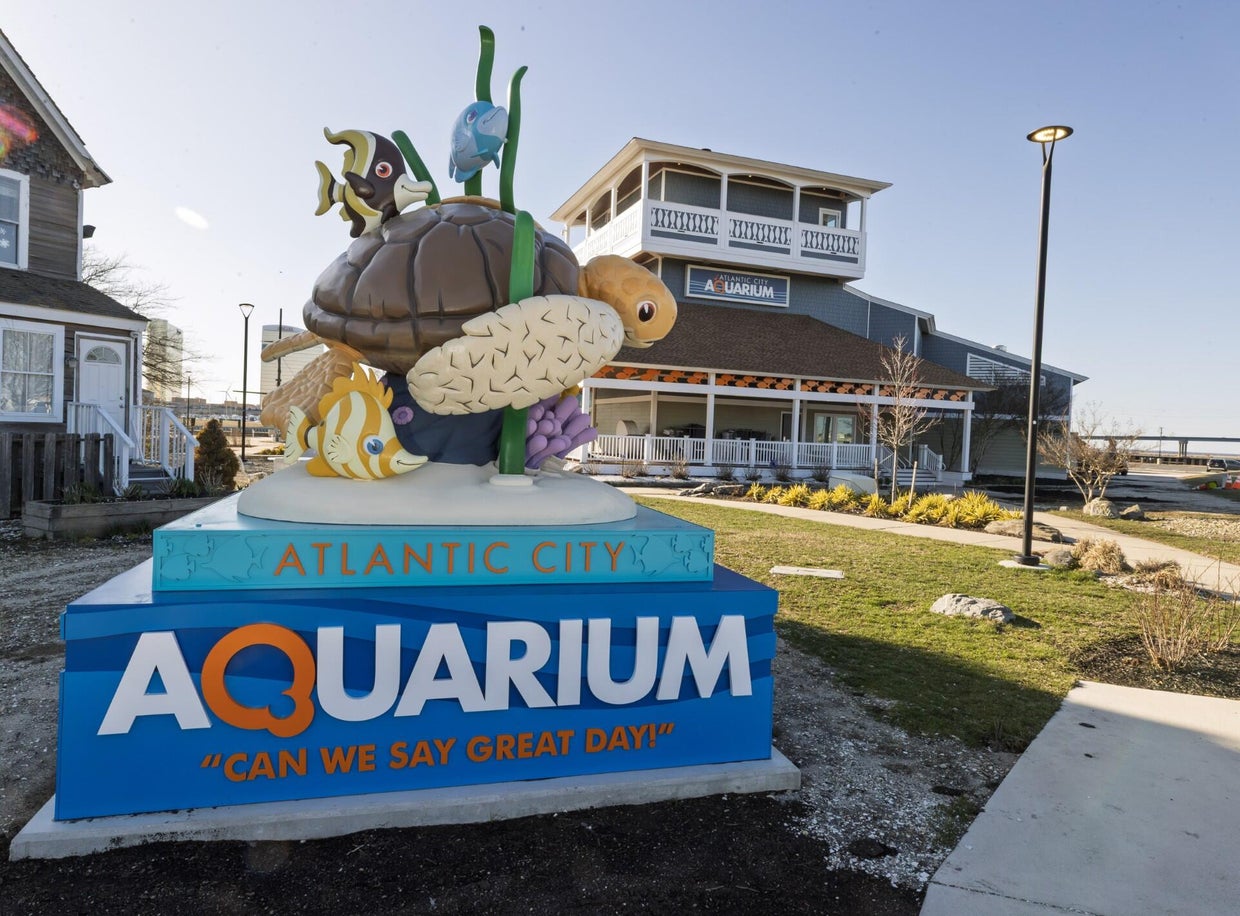New Jersey's Atlantic City Aquarium reopens for the first time in 5 ...