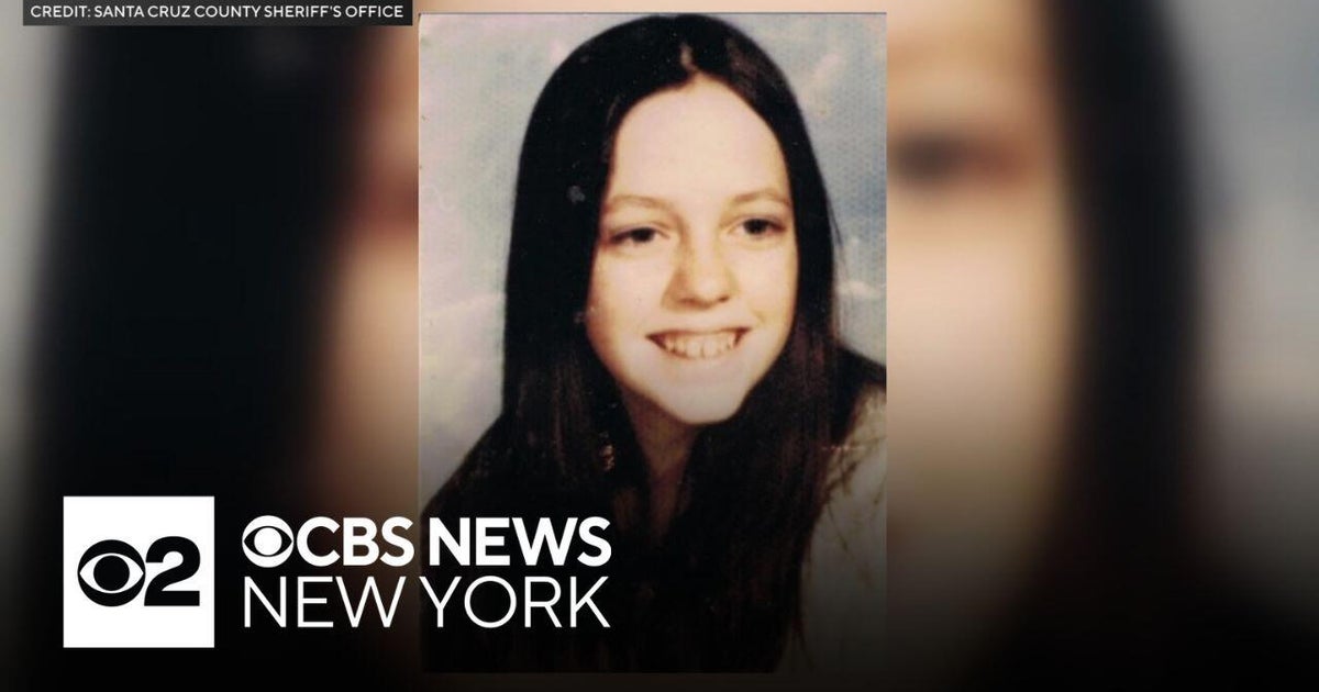 Remains found in California in 1995 identified as missing NYC teen ...