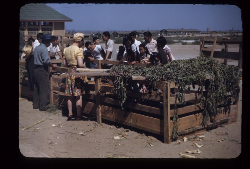 Camp Amache during WWII