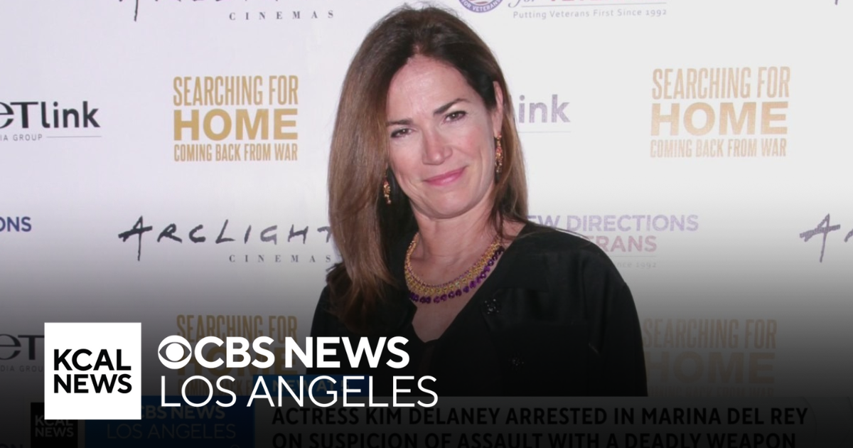 Kim Delaney, actress known for "NYPD Blue," arrested in domestic ...