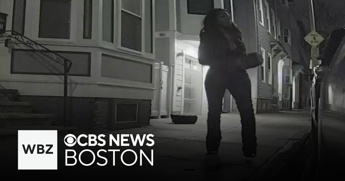 Video shows vandalism of Tesla in Boston - CBS Boston