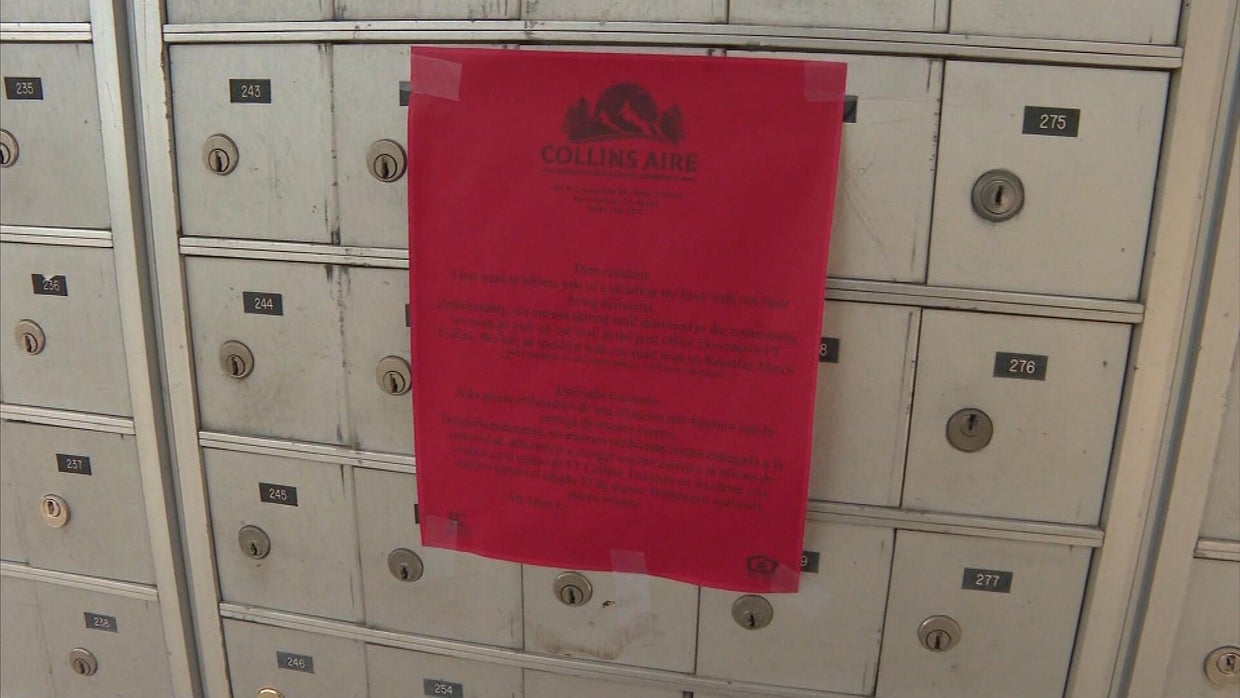 Hundreds of Northern Colorado residents lose mail delivery after dog ...
