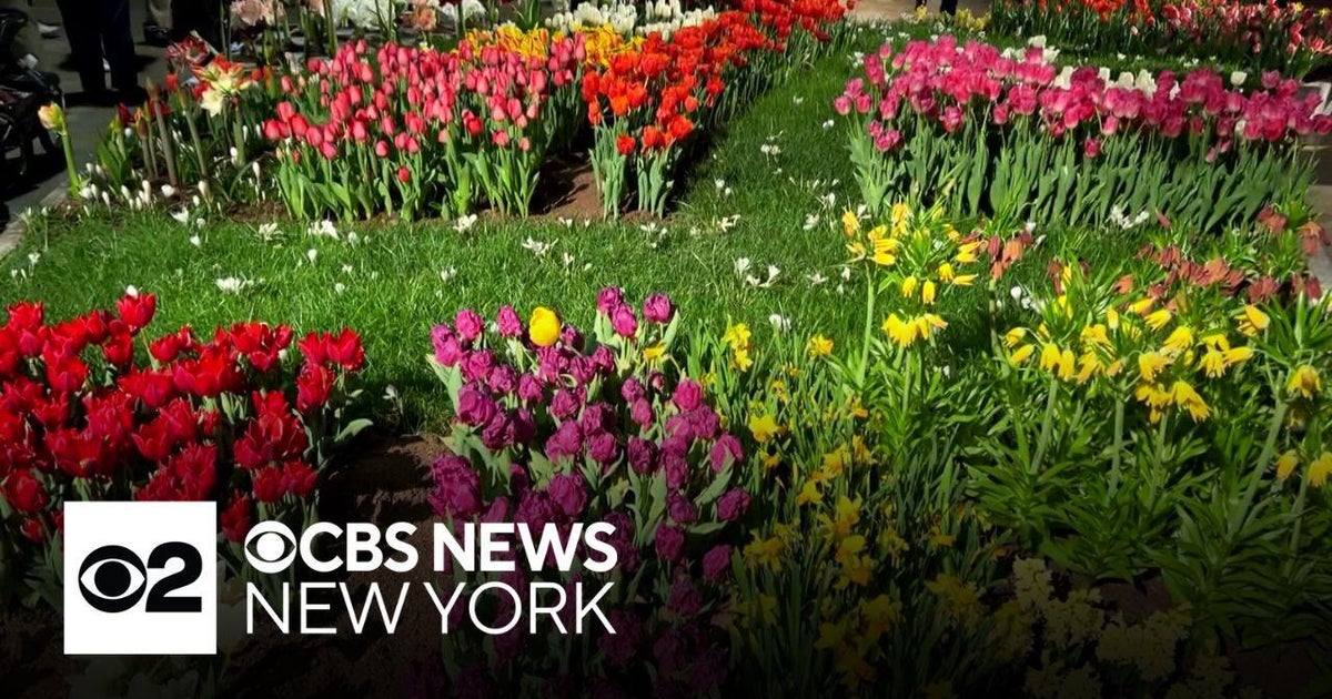 How plants and gardeners are adapting to changing climates - CBS New York
