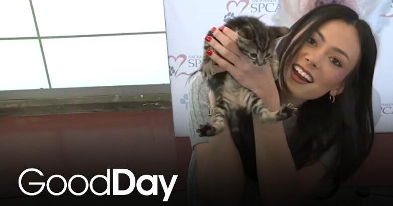 Sacramento SPCA camp kindness! - Good Day Sacramento