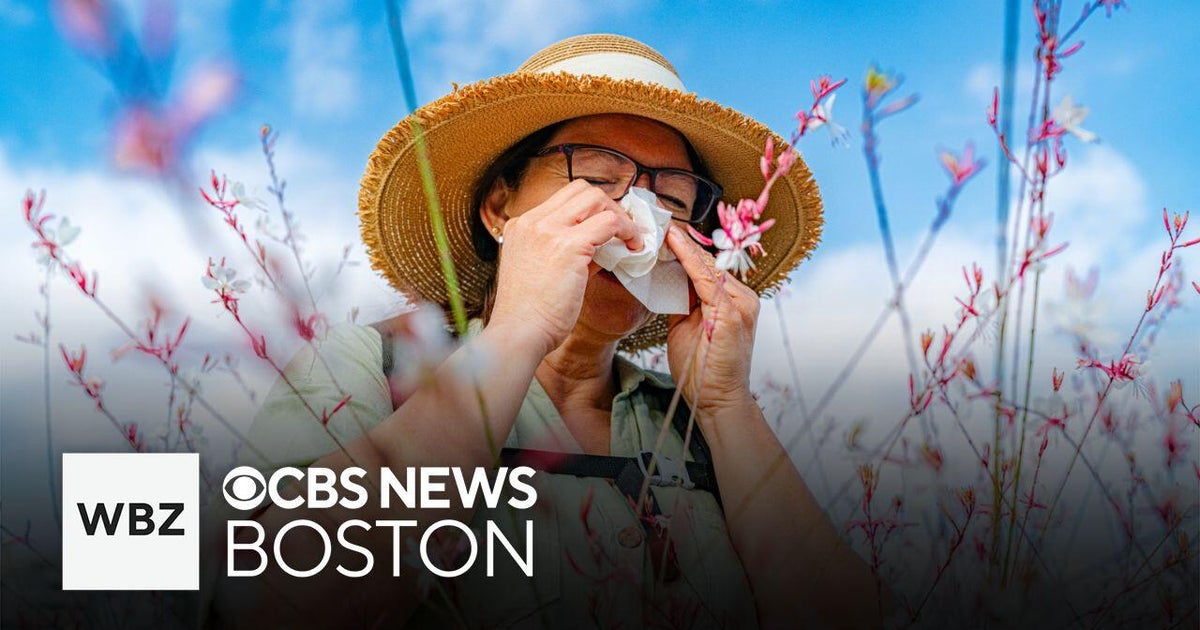 Here's why your spring allergy symptoms may feel worse this year - CBS ...