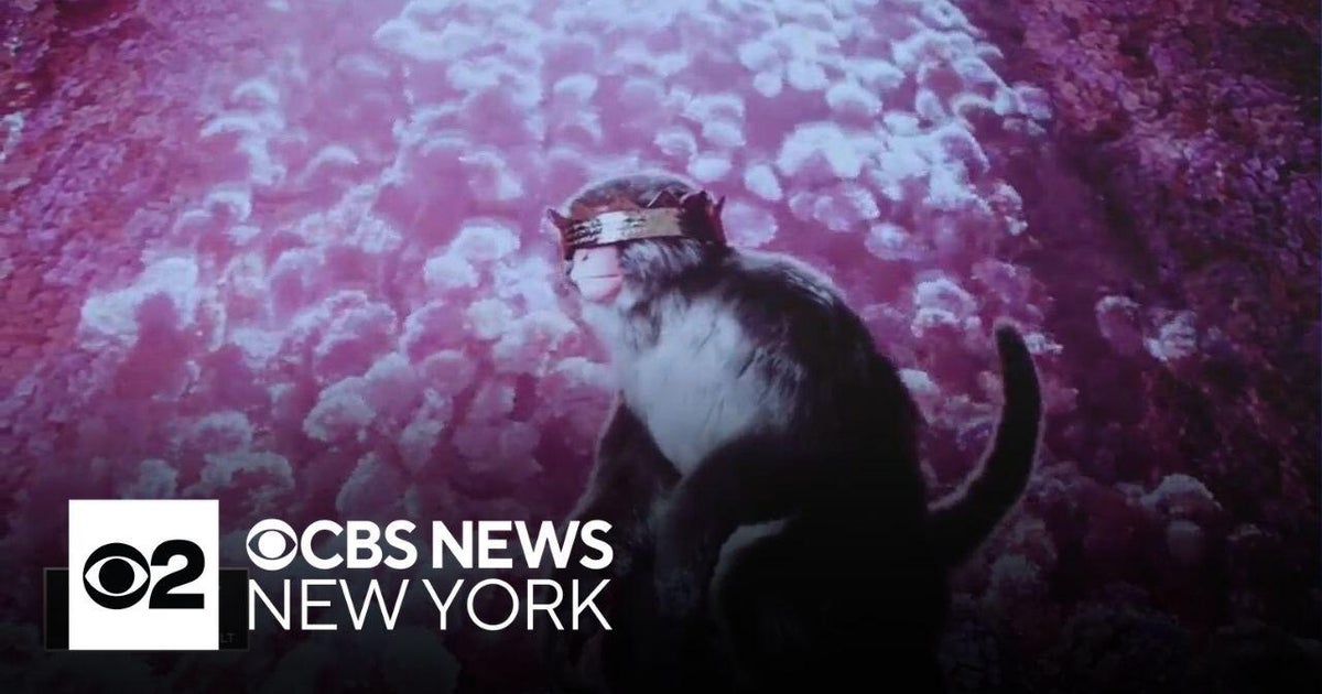 "Art and technology collide" | Uniquely New York with Rachel Holt - CBS ...