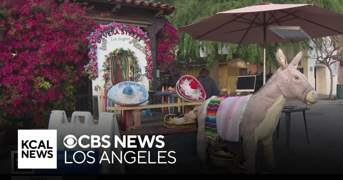 Battle over eviction of beloved stuffed donkey on Olvera Street heading ...