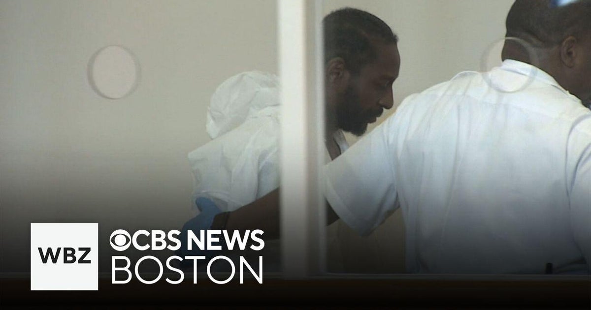 Boston man charged with shooting and stabbing 4 people, including young ...