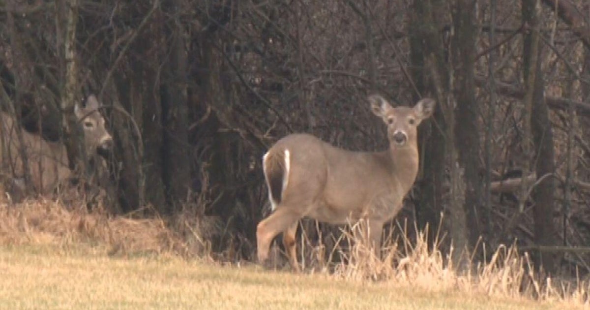 Farmington Hills to discuss deer population; NBA playoff hurdle for ...