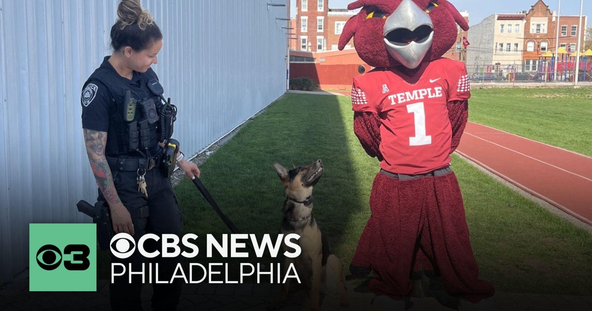 Temple University Police introduce new K-9 officer Zaki - CBS Philadelphia