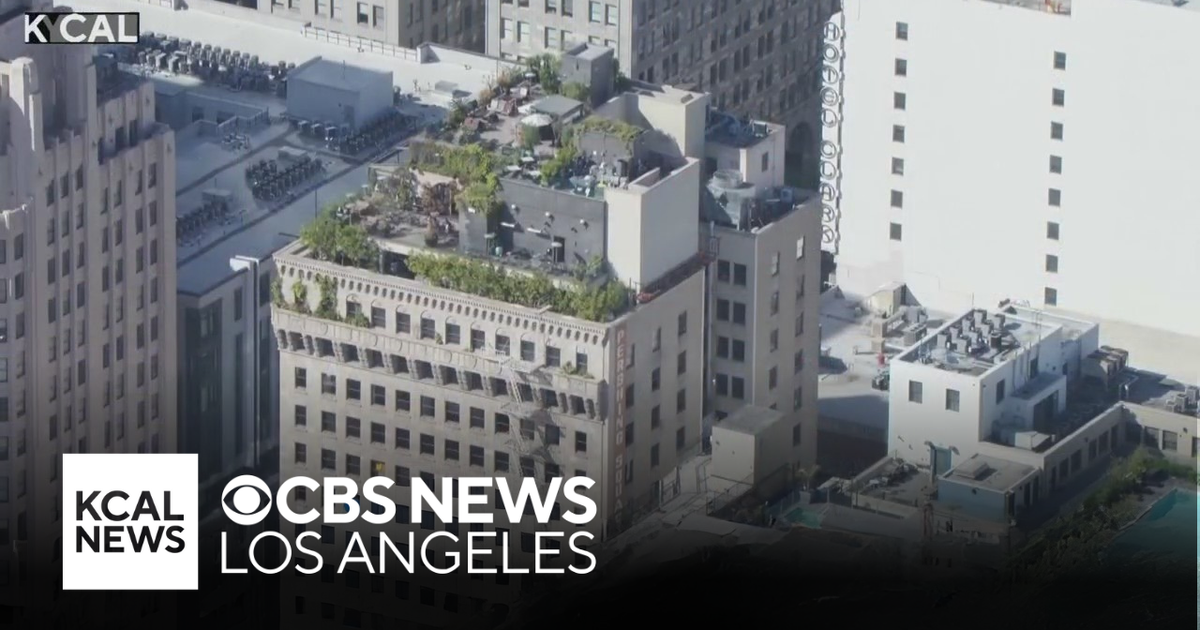 Perch Rooftop Restaurant | Look At This! - CBS Los Angeles