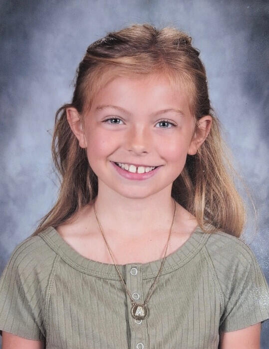 Driver in Chatham, Illinois, crash that killed 4 at after-school program not intoxicated, police ...