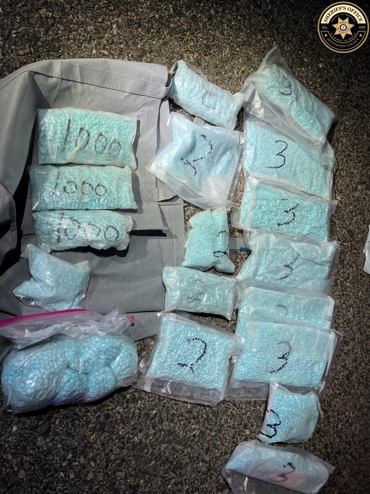 More than 10 pounds of fentanyl seized during traffic stop near ...