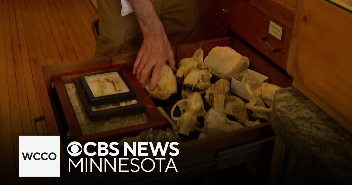 How a man turned his fossil collection into a museum - CBS Minnesota