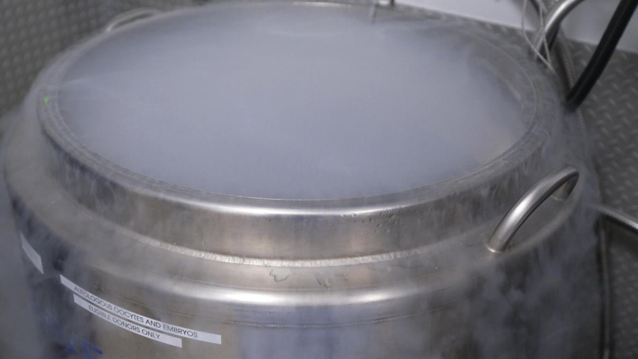 Egg freezing popularity increasing among young women to preserve their ...