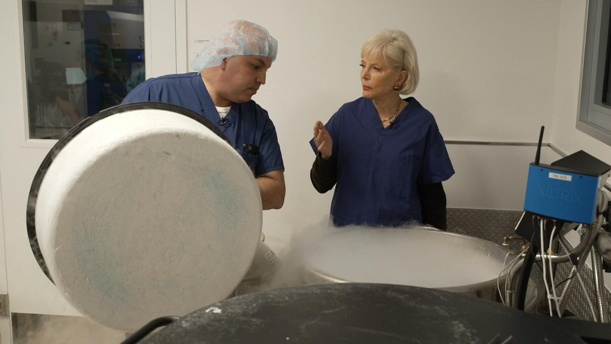 Egg freezing popularity increasing among young women to preserve their ...