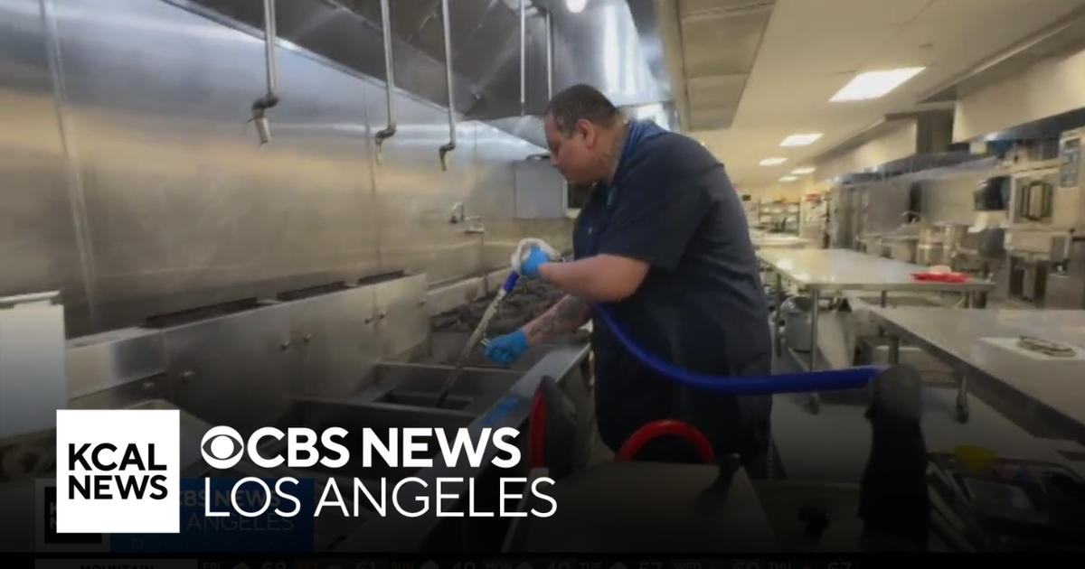 Local company saves thousands of pounds of waste with cooking oil ...