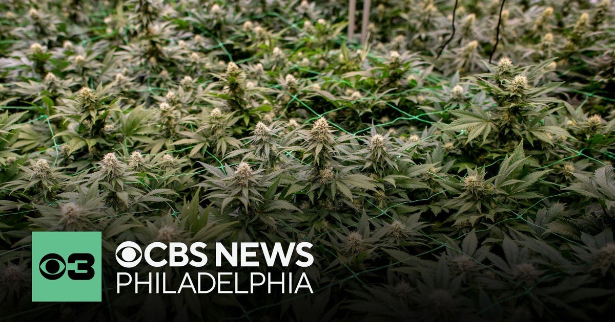 Pennsylvania House Committee passes bill that would legalize ...