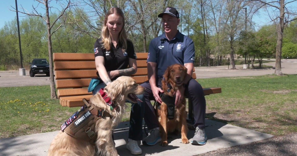 This K-9 therapy dog duo can be deployed to any law enforcement agency ...