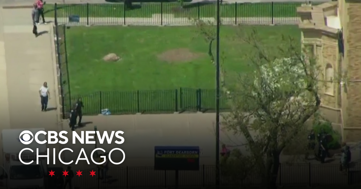 Students at Chicago's Fort Dearborn Elementary School rushed to ...