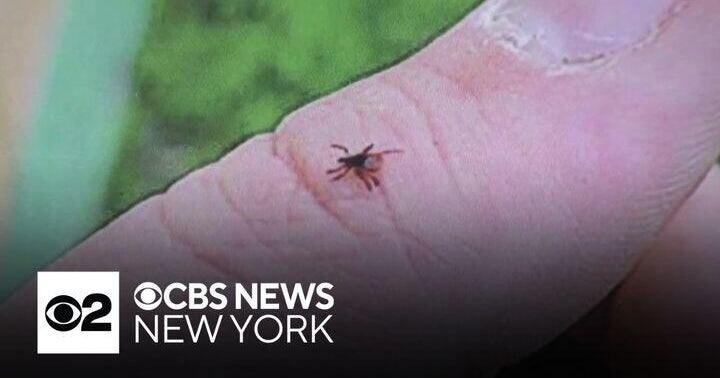 Public health experts say it is an early start to tick season - CBS New ...