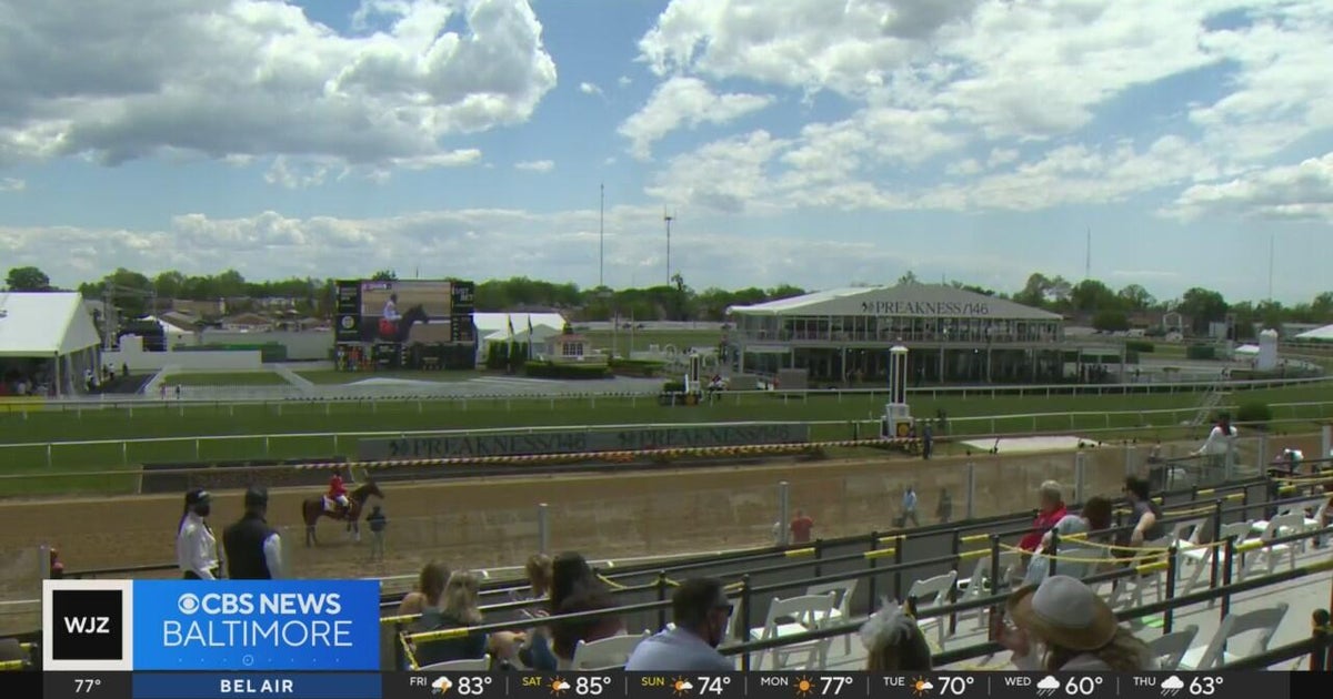 Horses to watch during 150th Preakness Stakes in Baltimore - CBS Baltimore
