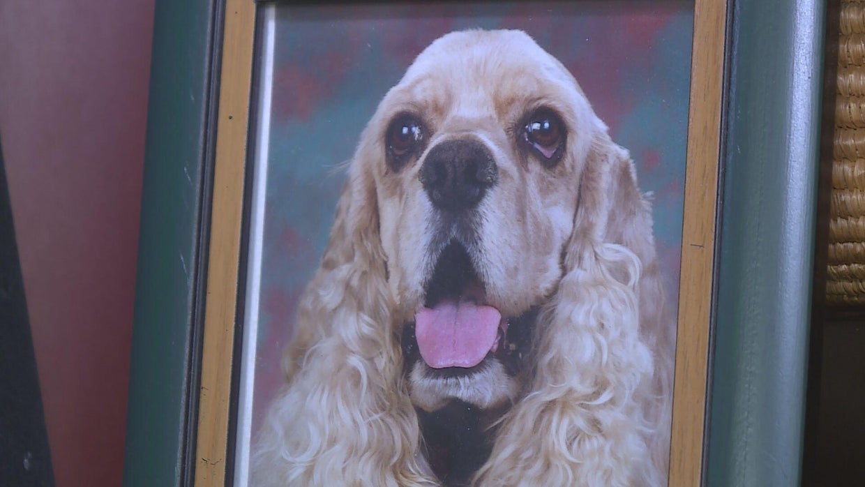 Blast off into the great beyond: West Sacramento man sending ashes of ...