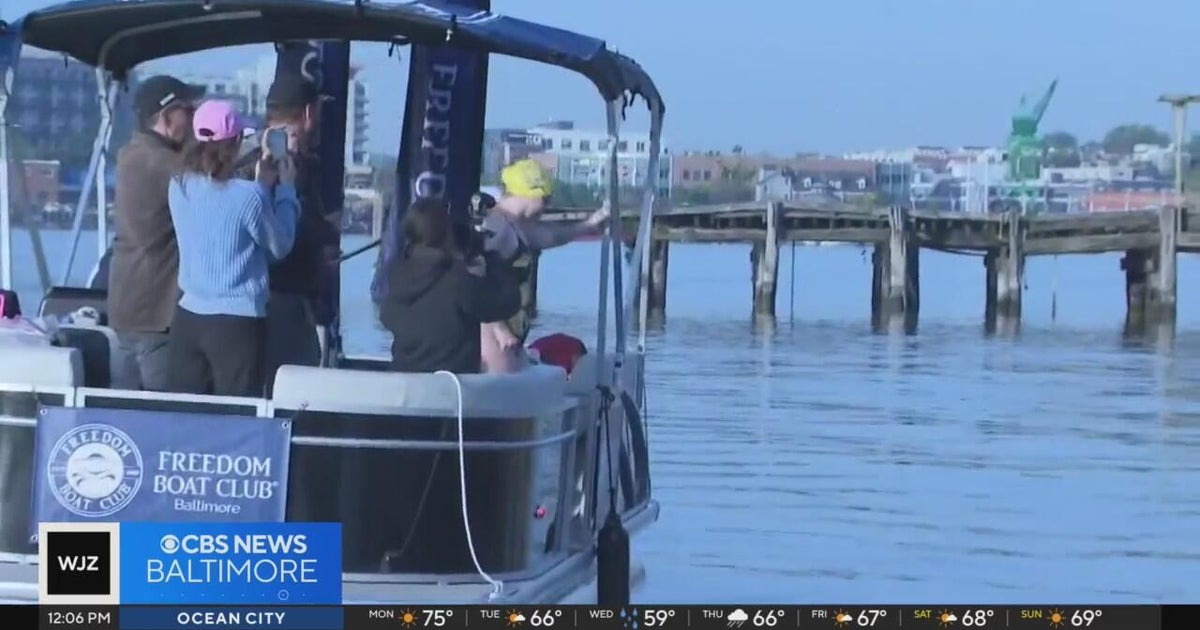 Swimmer Katie Pumphrey reschedules swim from Chesapeake Bay Bridge to ...